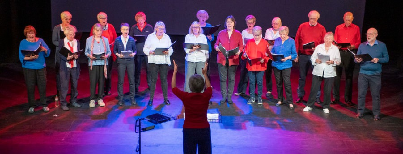 Are you our next Kaleidoscope Choir Leader?